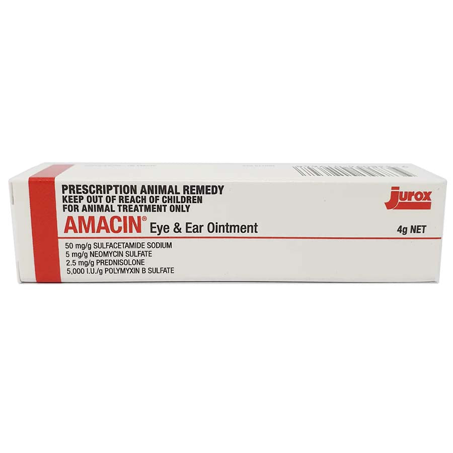 Amacin Ear and Eye 4g Ointment for Pet Infections – Floof Veterinary ...