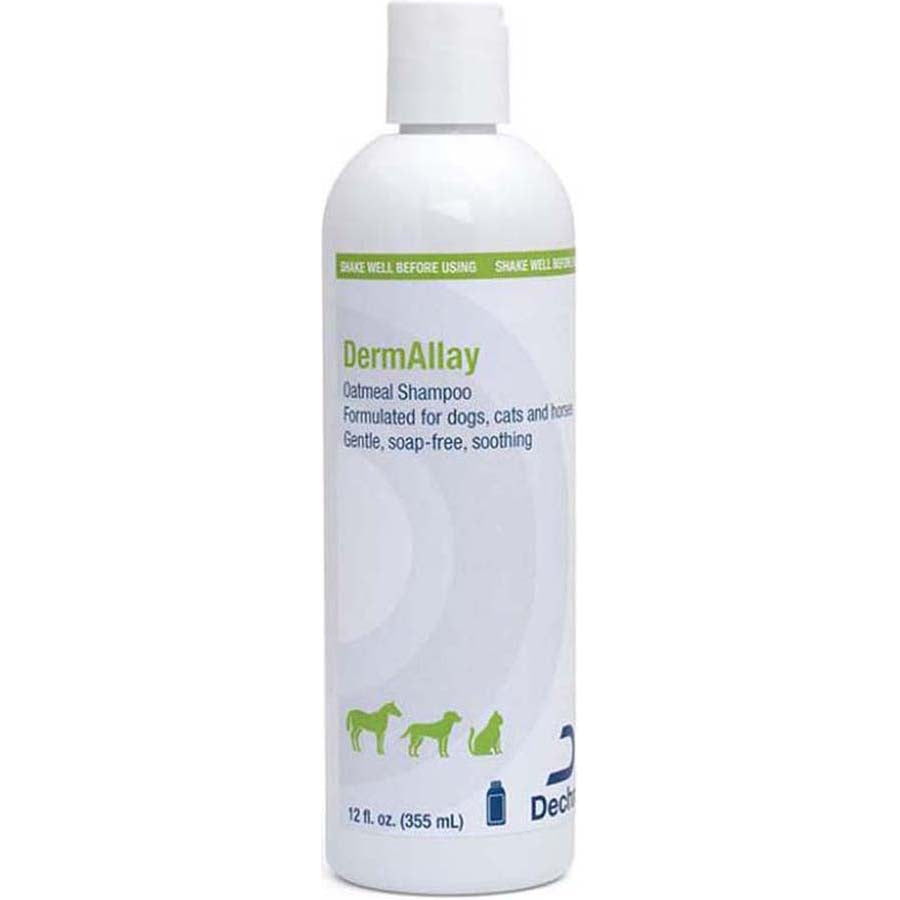 DermAllay Oatmeal Shampoo 355mL for Pet Sensitive & Itchy Skin – Floof ...